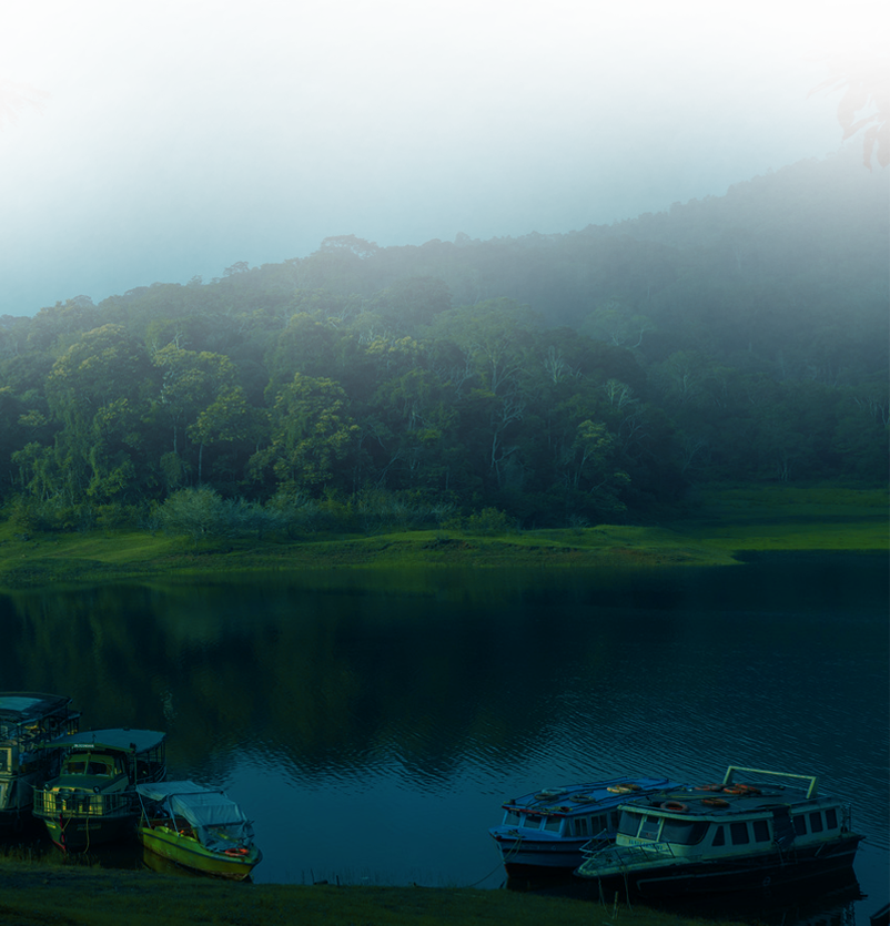 The Essential Thekkady Travel Guide: What to Know Before You Go