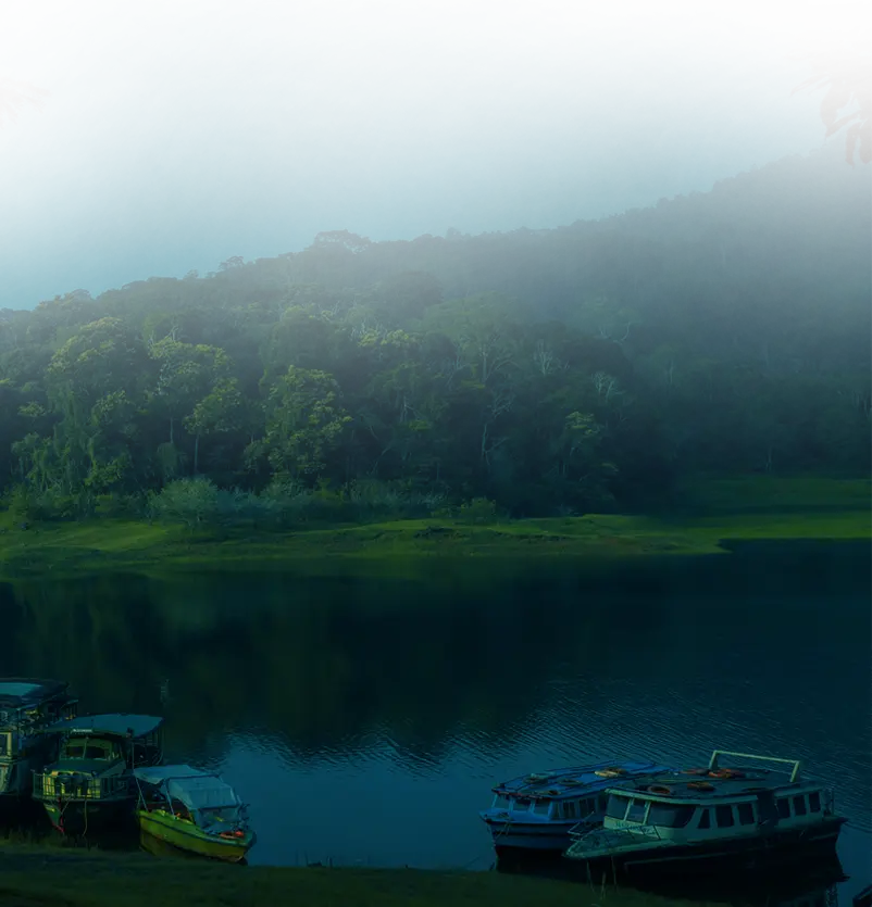 Popular Tourist Destination in Thekkady, Periyar National Park, Tiger Trail